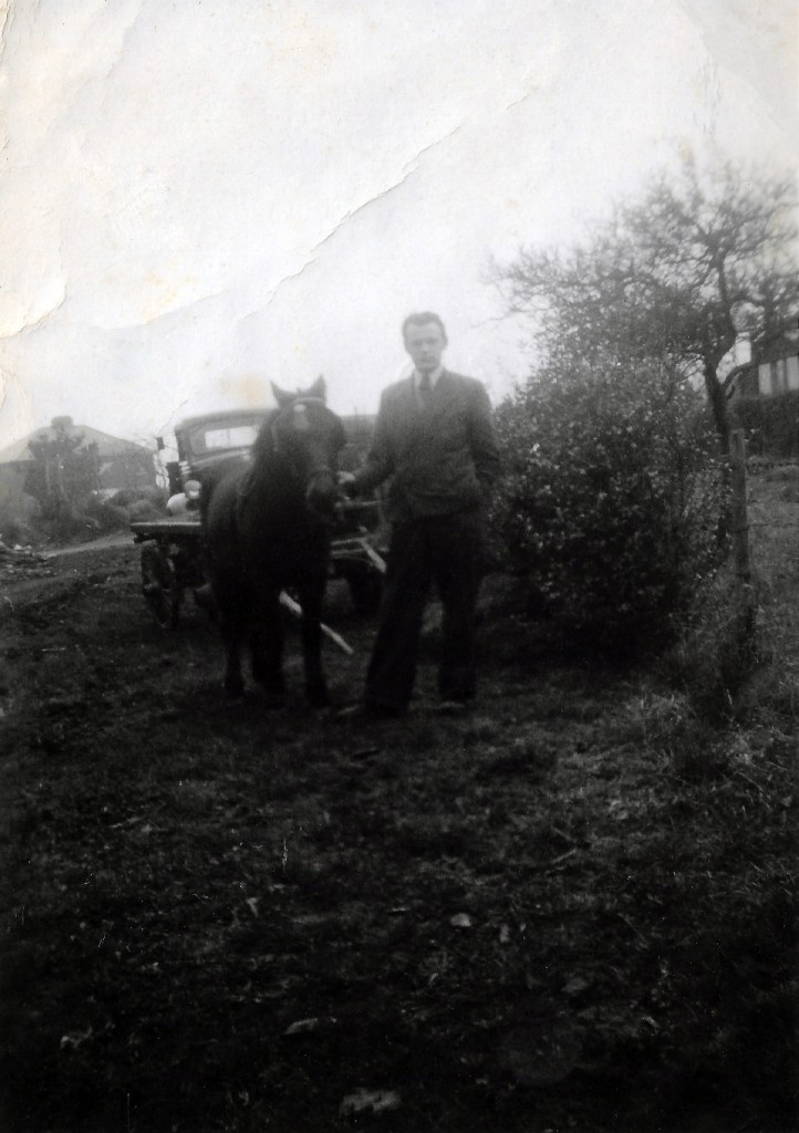 Celebrating 70 Years - Keydell Nurseries