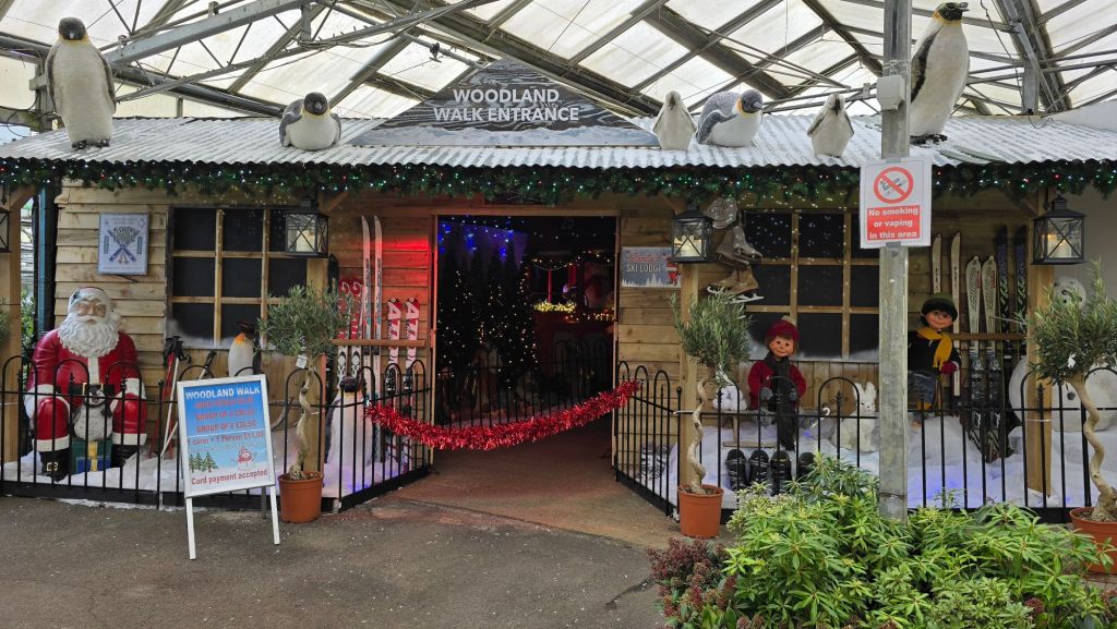 Santa's Woodland Walk Display - Keydell Nurseries