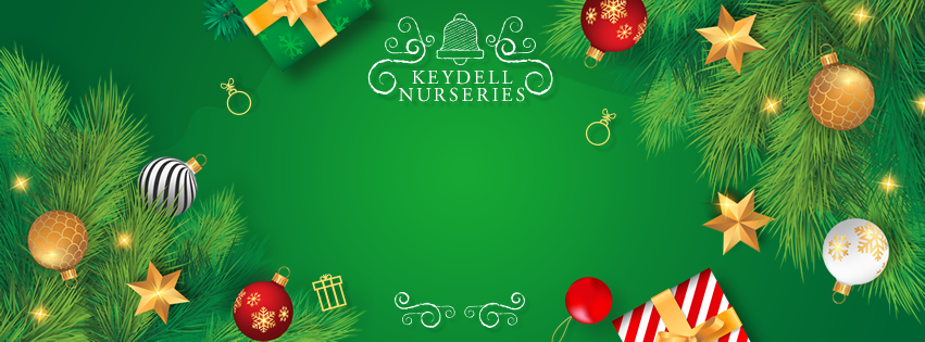 Keydell Nurseries in Horndean - Keydell Nurseries